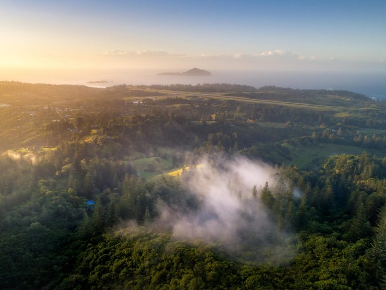 When is the best time to visit Norfolk Island?