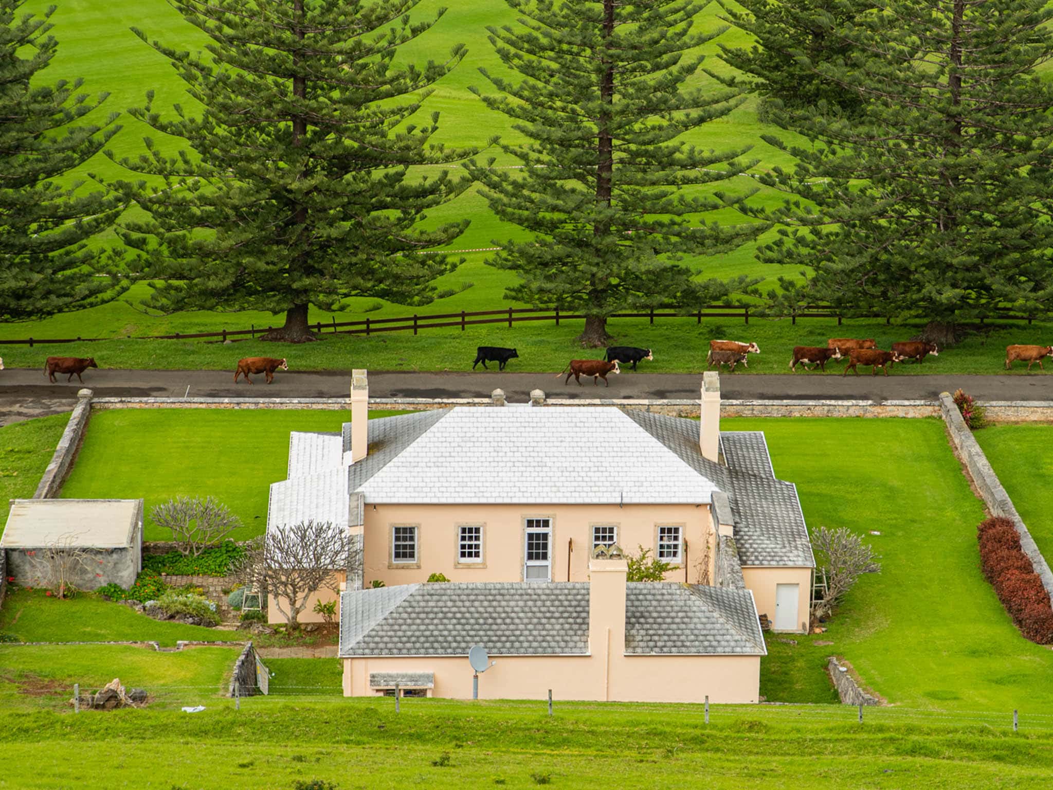 Explore Norfolk | Norfolk Island Travel Centre