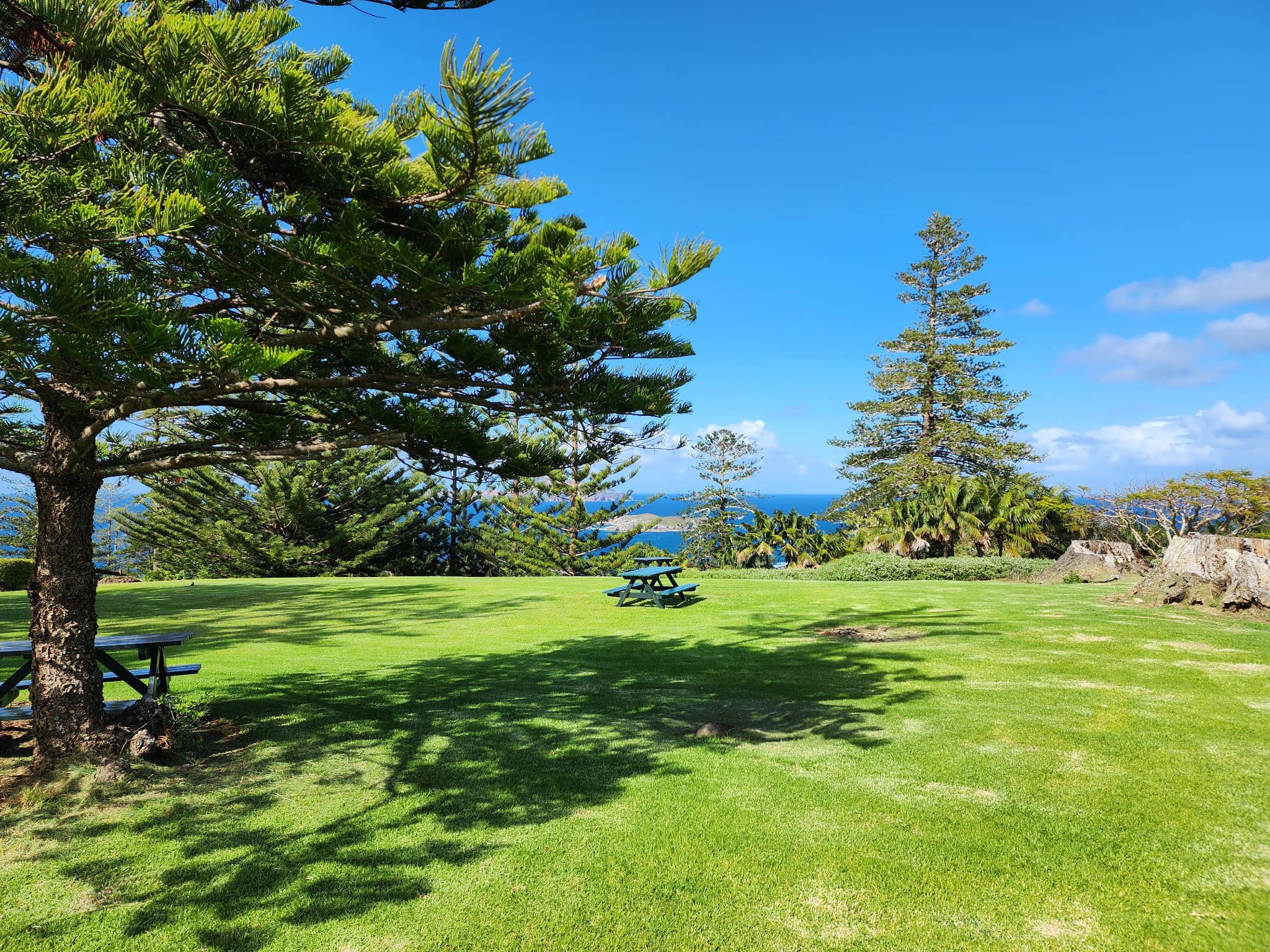 The Crest Apartments | Norfolk Island Travel Centre