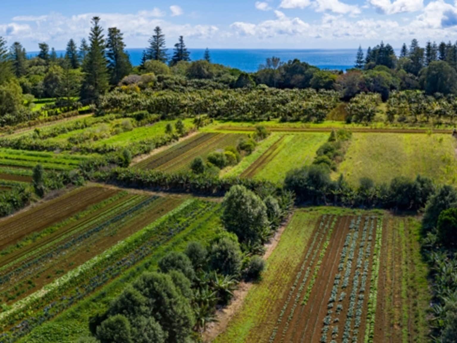 Tours & Activities – Norfolk Island Travel Centre